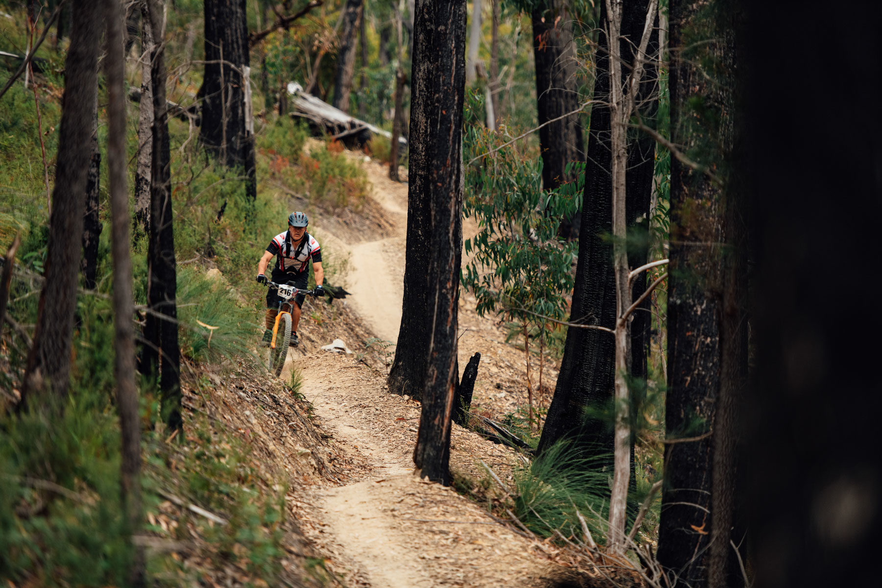 The smells, sights, and sounds of the 2021 Dragon Trail. Tasmania's New ...