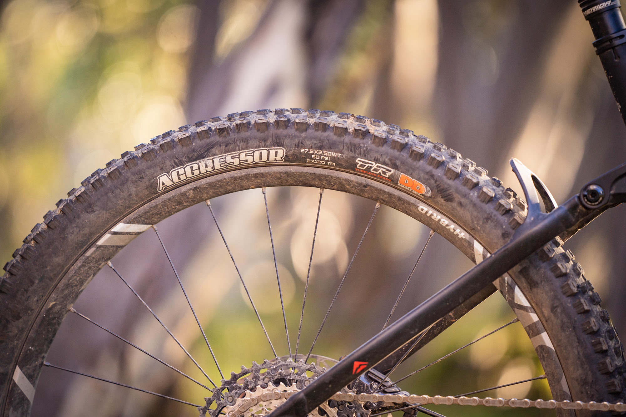 Merida eOne-Sixty 9000 Review | More power, range & muscle for 2021