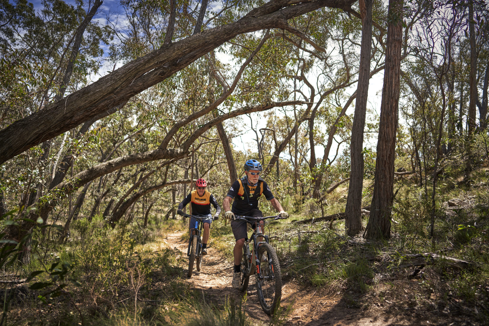 Striking gold in Creswick - New Trails for Victorian Town