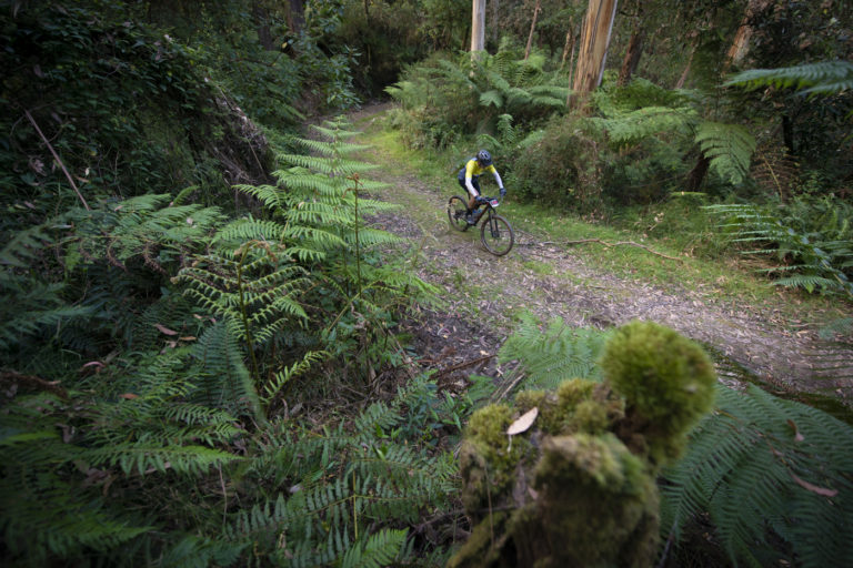 Best Mountain Bike Trails in Victoria | Top Trails in the Garden State