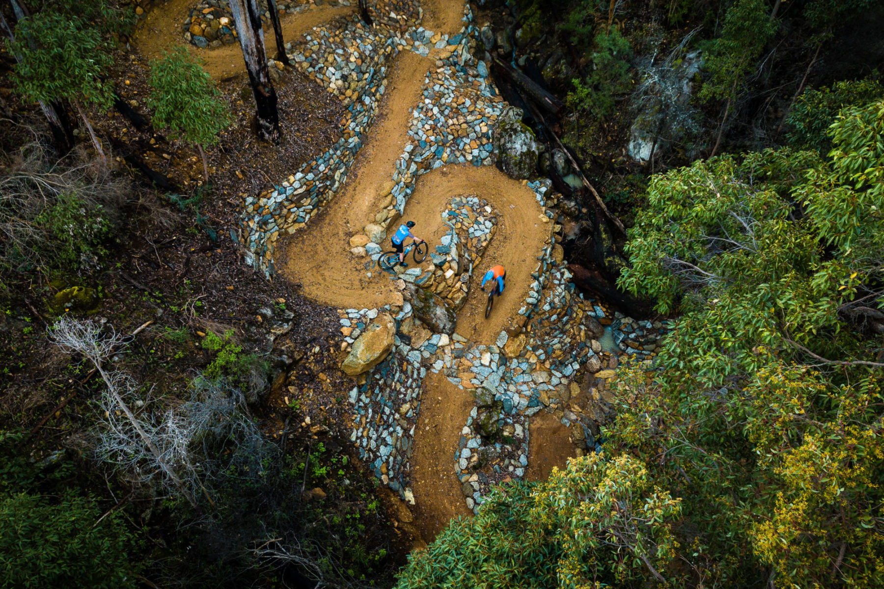 A Complete Guide to Mountain Biking in Dwellingup | Flow MTB