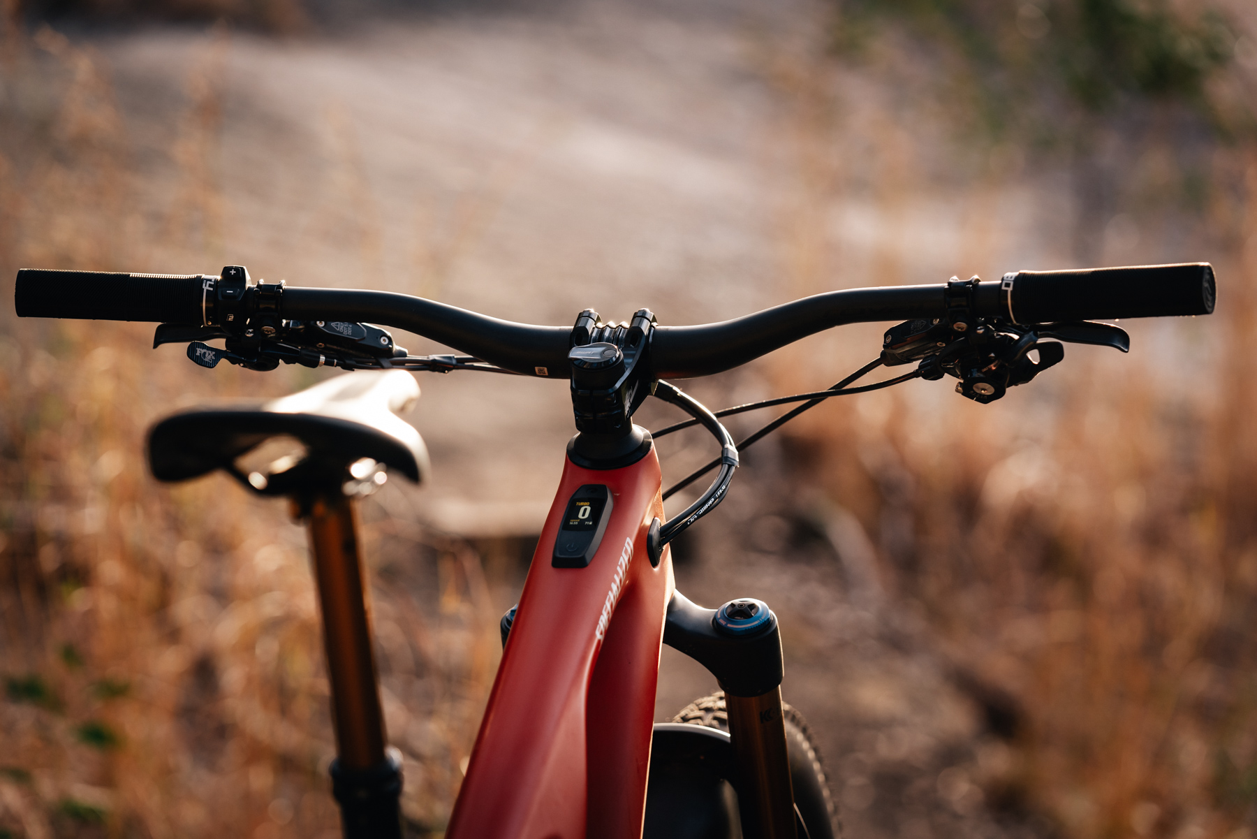 Living with Levo | A long-term review of the 2022 Specialized Levo Pro