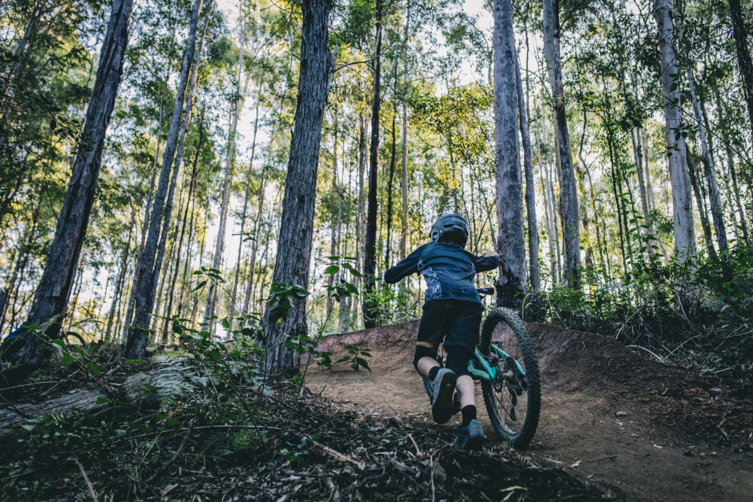 Is Woolgoolga the next big thing for mountain bikers in New South Wales ...