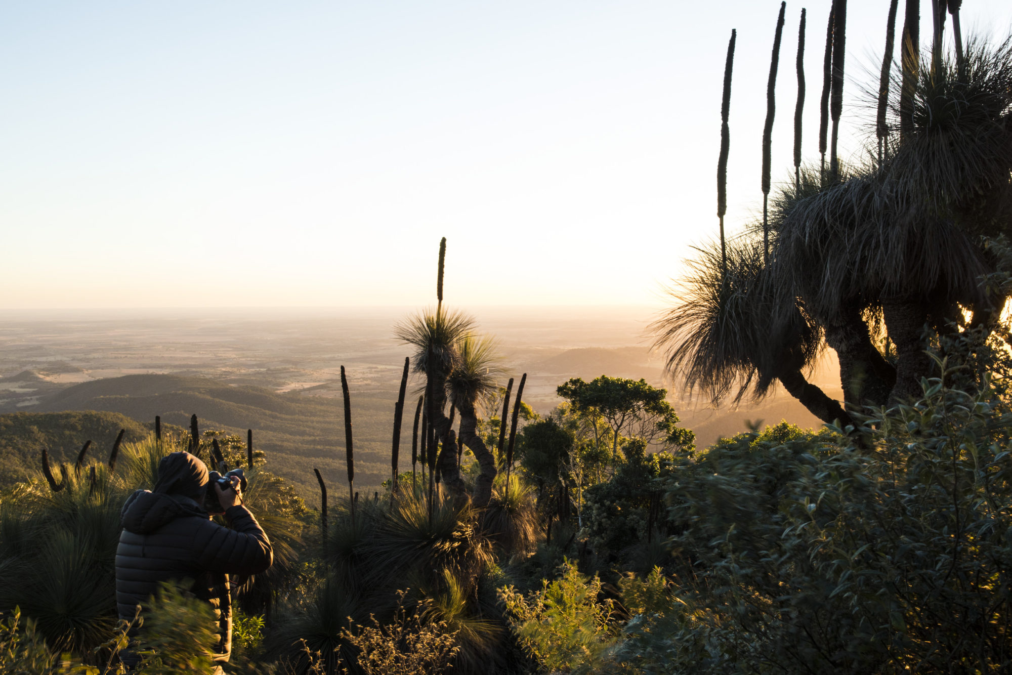 Riding through the pines | 30km of adventure riding under construction ...