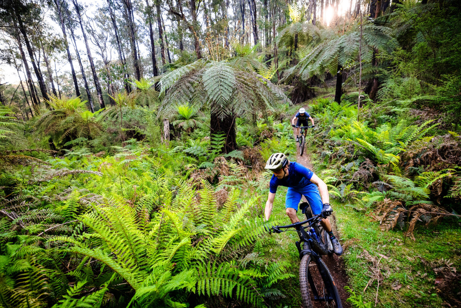 2022 Scott Spark Review | An all-round XC ripper with a split personality