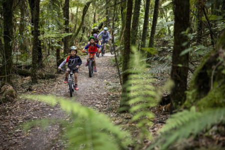 What's new in Rotorua | Flow Mountain Bike