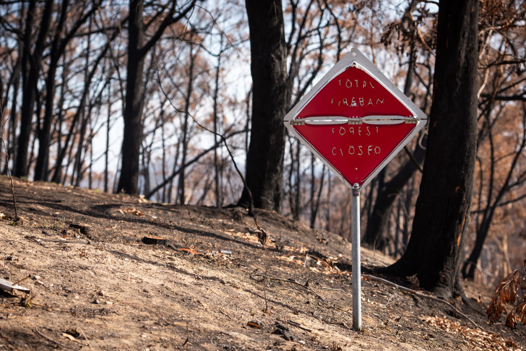 Fox Creek 2.0 | Rebuilding one of Adelaide most iconic trail networks ...