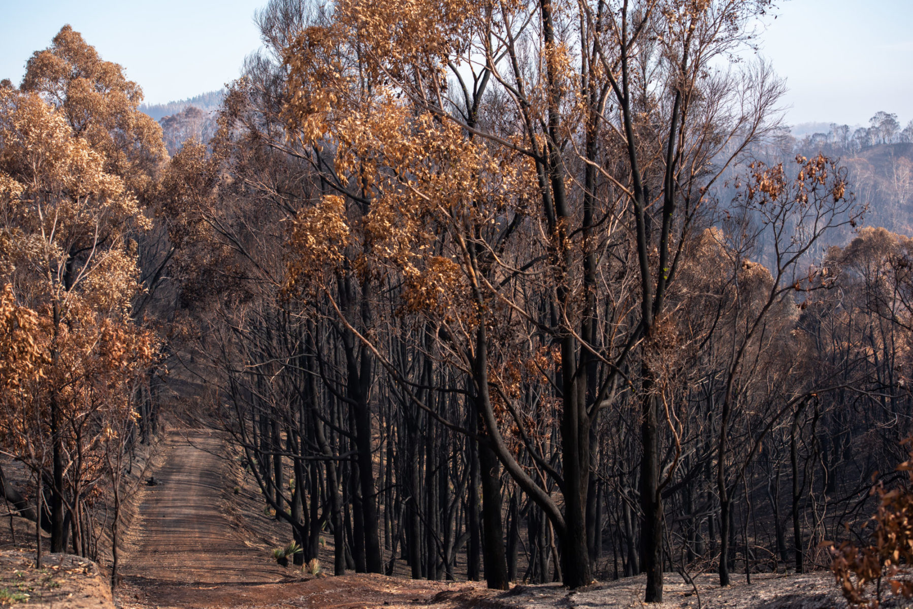 Fox Creek 2.0 | Rebuilding one of Adelaide most iconic trail networks ...