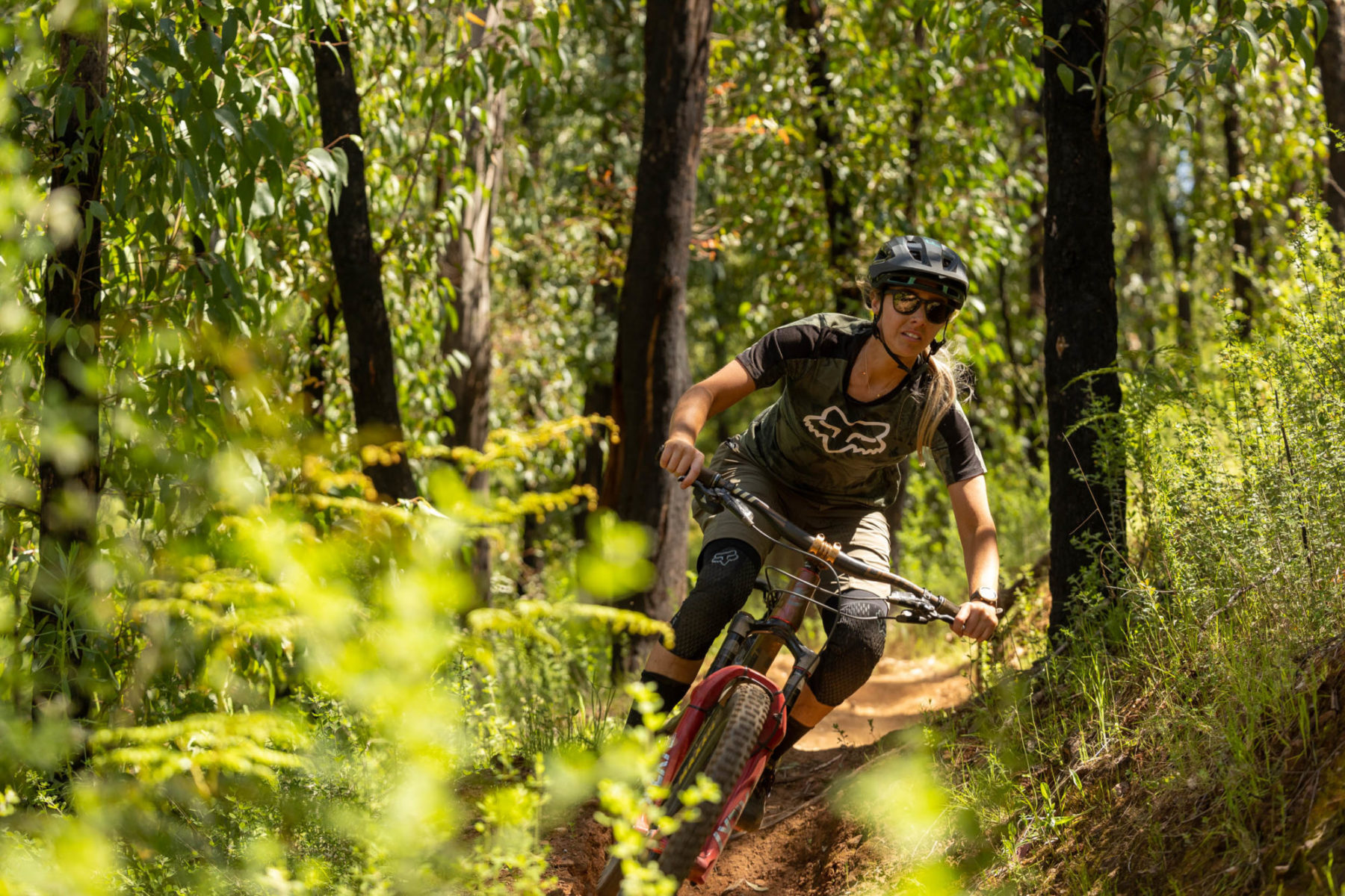 Fox Creek 2.0 | Rebuilding one of Adelaide most iconic trail networks ...