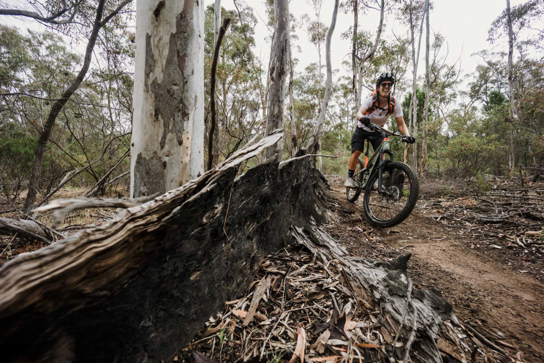 Mount Remarkable Epic | New 38km epic trail and family friendly trails ...