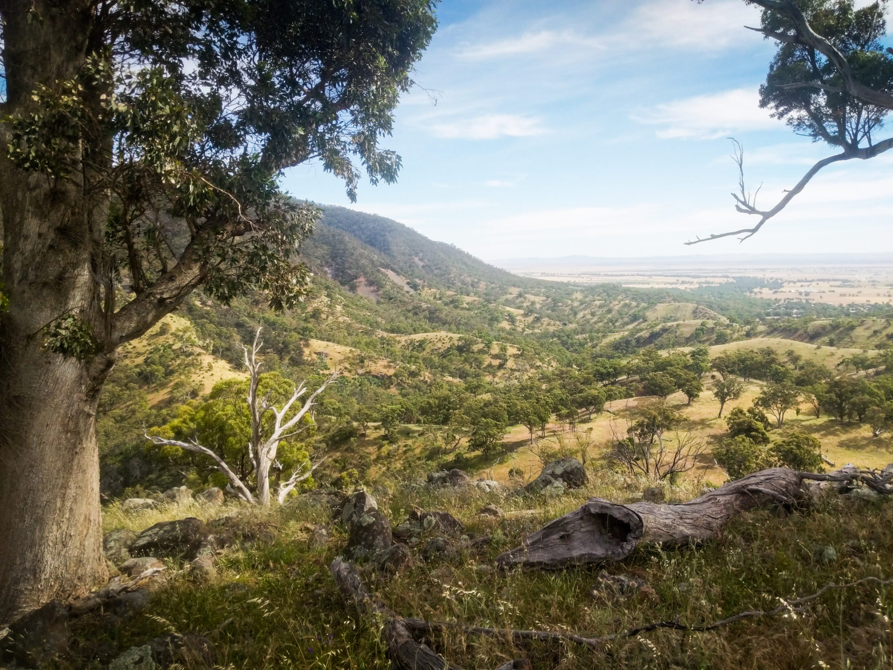 Mount Remarkable Epic | New 38km epic trail and family friendly trails ...