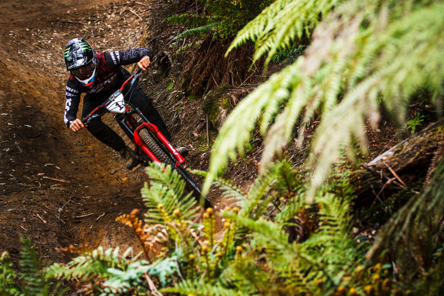 Mountain Bike Trail Guide – Maydena, Tas | Flow Mountain Bike