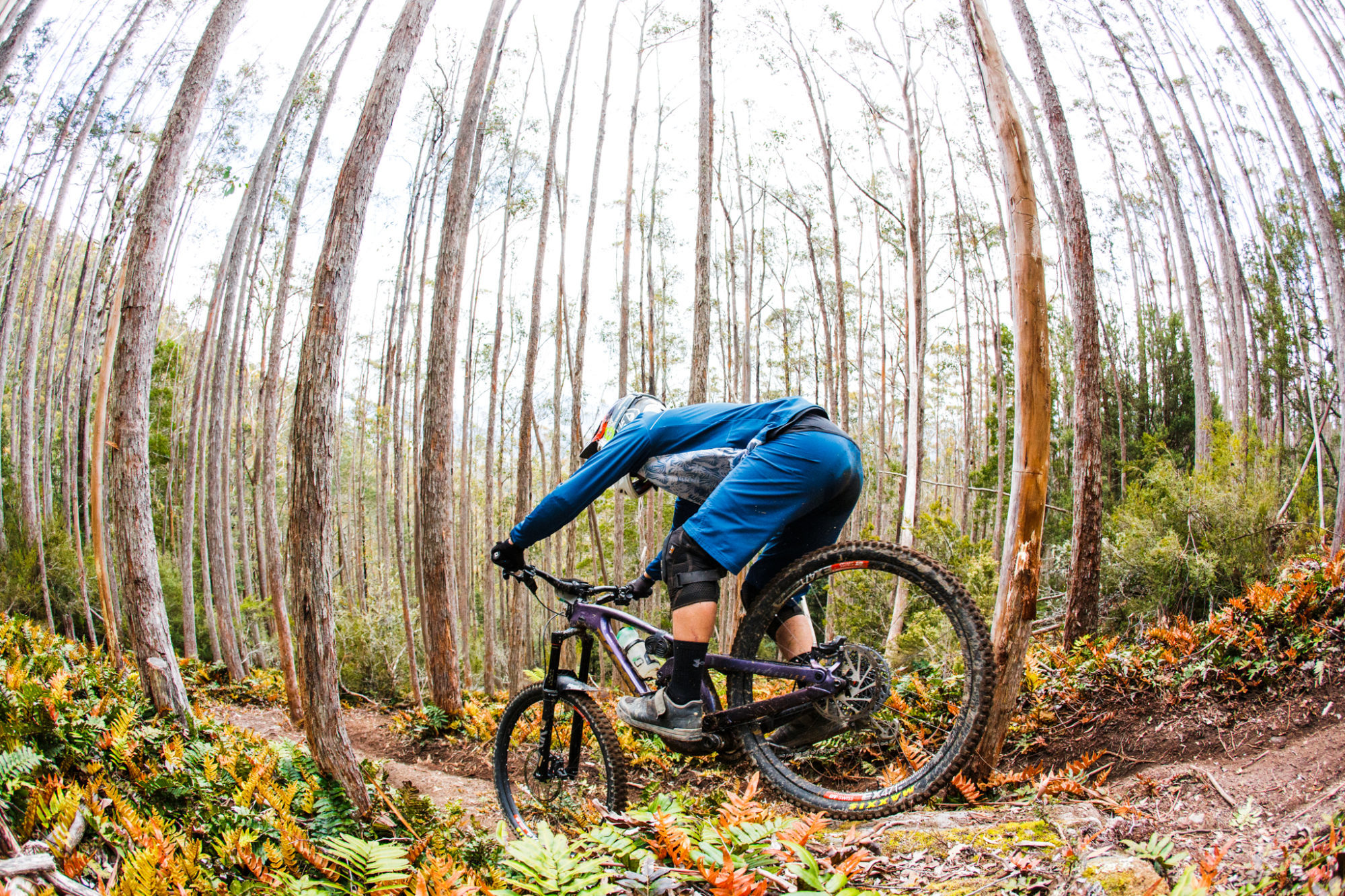 Maydena Enduro Jam 2022 | Laid back racing and a chance to earn EWS points | Flow Mountain Bike