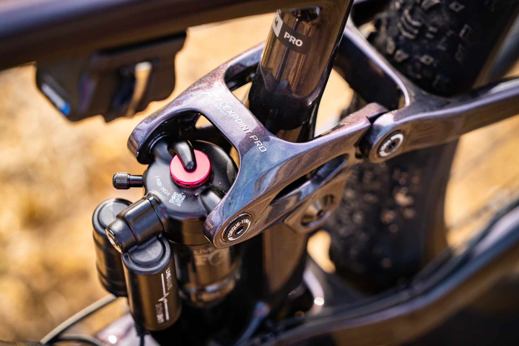 Giant Anthem Review | One of the best XC bikes we've ever tested?