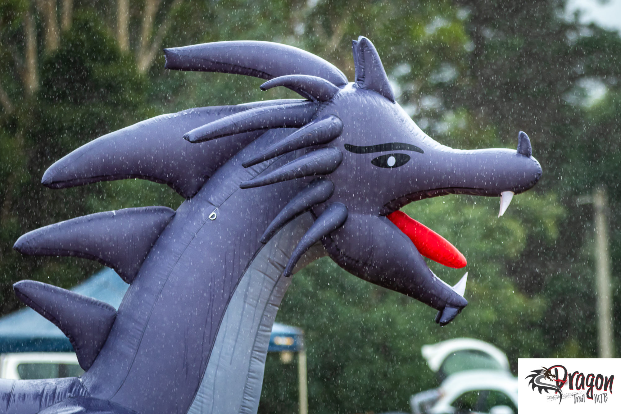 Dragon Trail 2022 | A race of mud, extreme weather and unreal trails ...