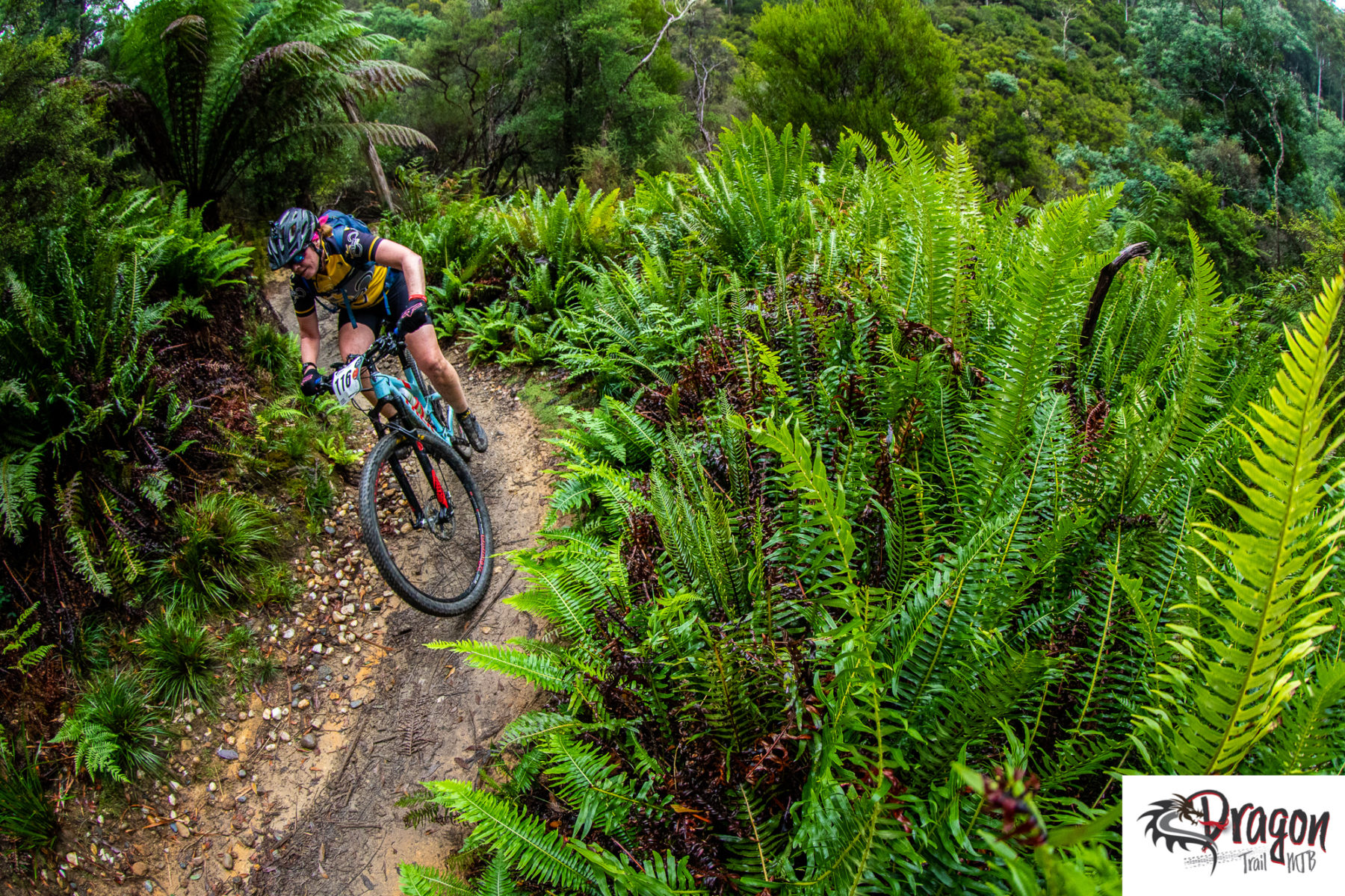 Dragon Trail 2022 | A race of mud, extreme weather and unreal trails ...