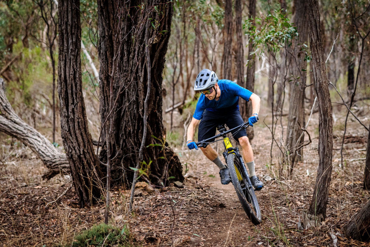 Cannondale Scalpel HT Review | A mostly contemporary XC rocket ship