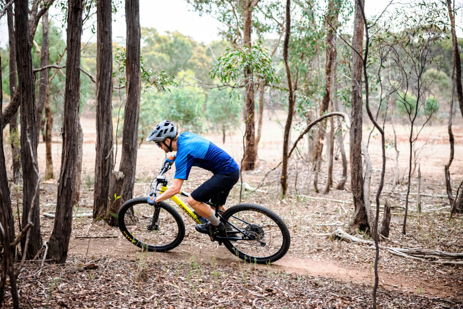 Cannondale Scalpel HT Review | A mostly contemporary XC rocket ship