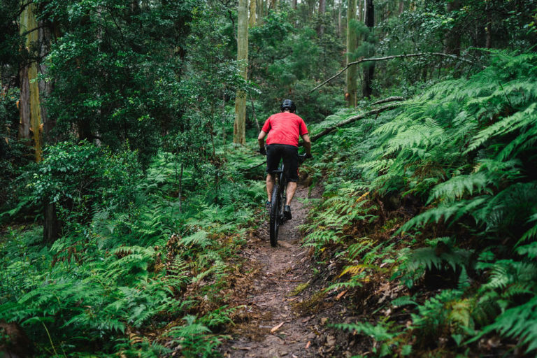 South Coast NSW | Narooma on the verge of a singletrack surge | Flow ...