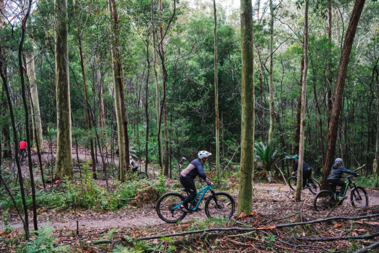 South Coast NSW | Narooma on the verge of a singletrack surge | Flow ...