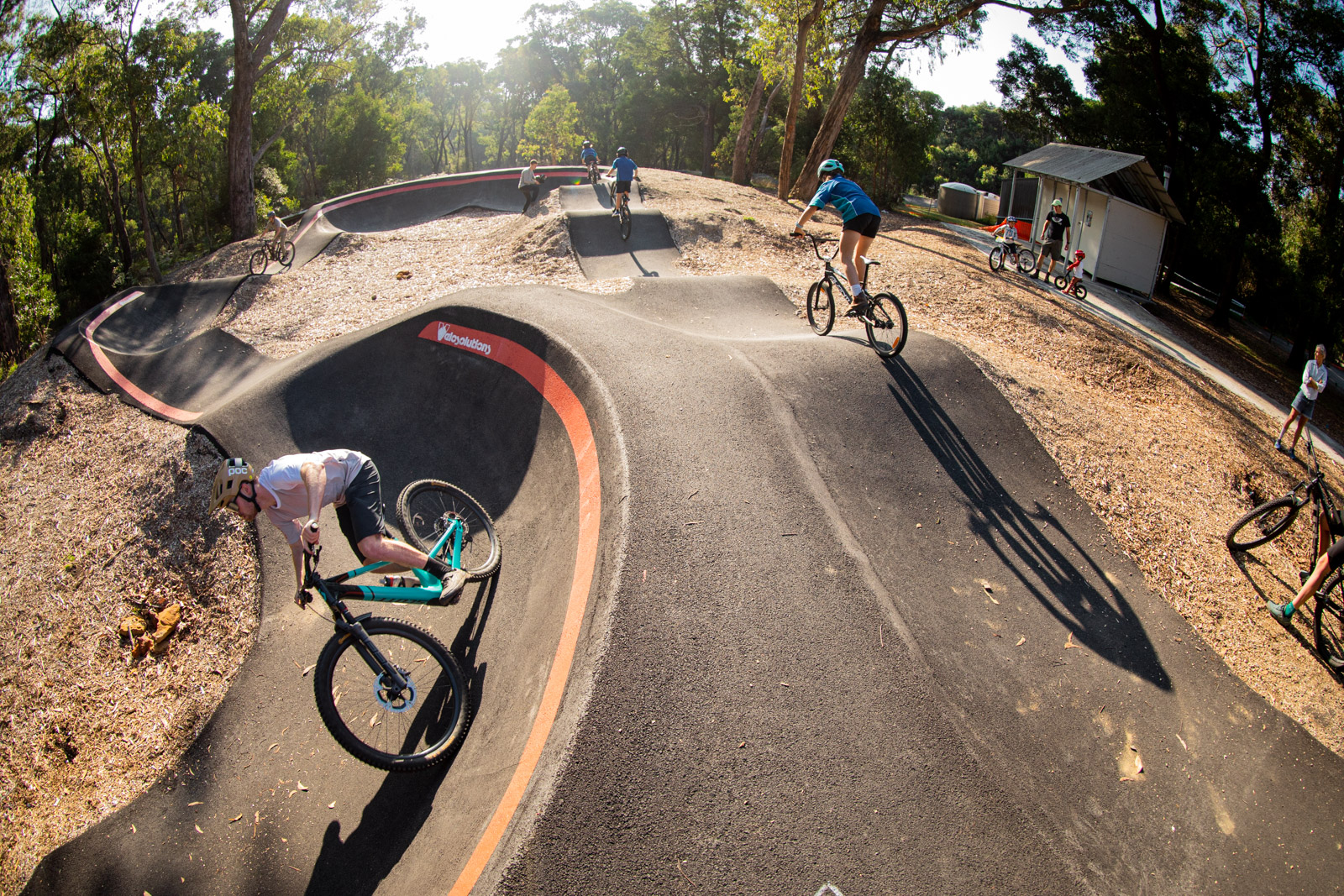 Forrest Mountain Bike Trails | Complete guide | Flow Mountain Bike