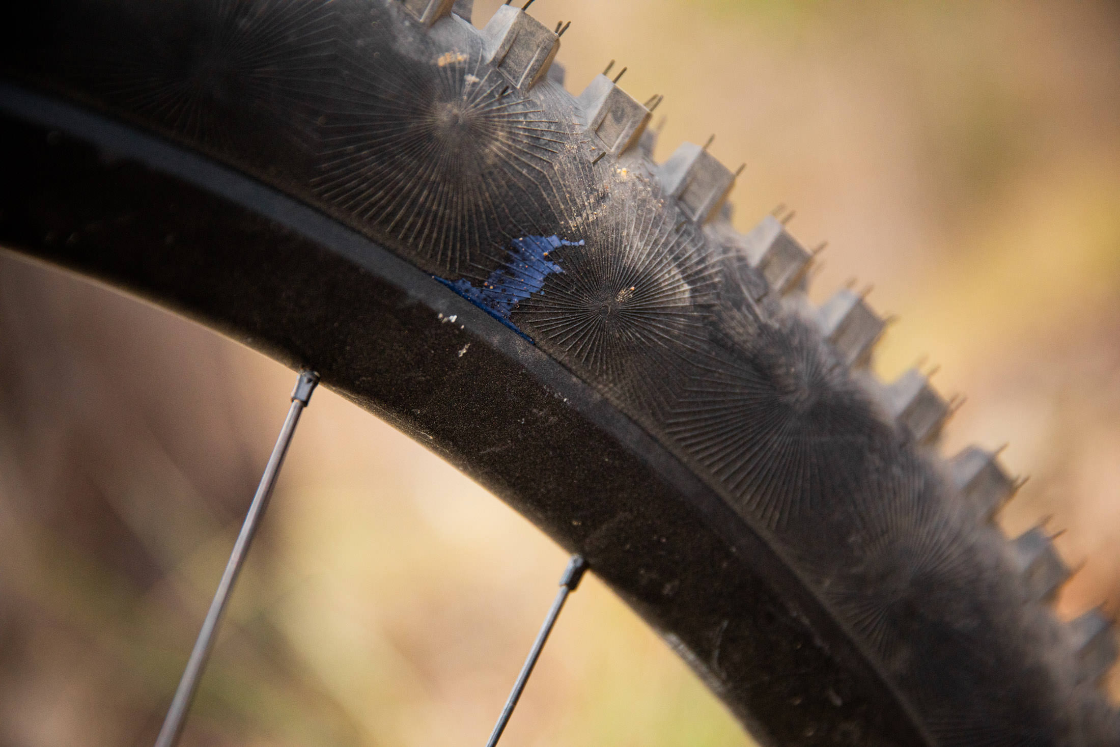 Review | Continental Argotal & Kryptotal Enduro casing tyres - Flow ...