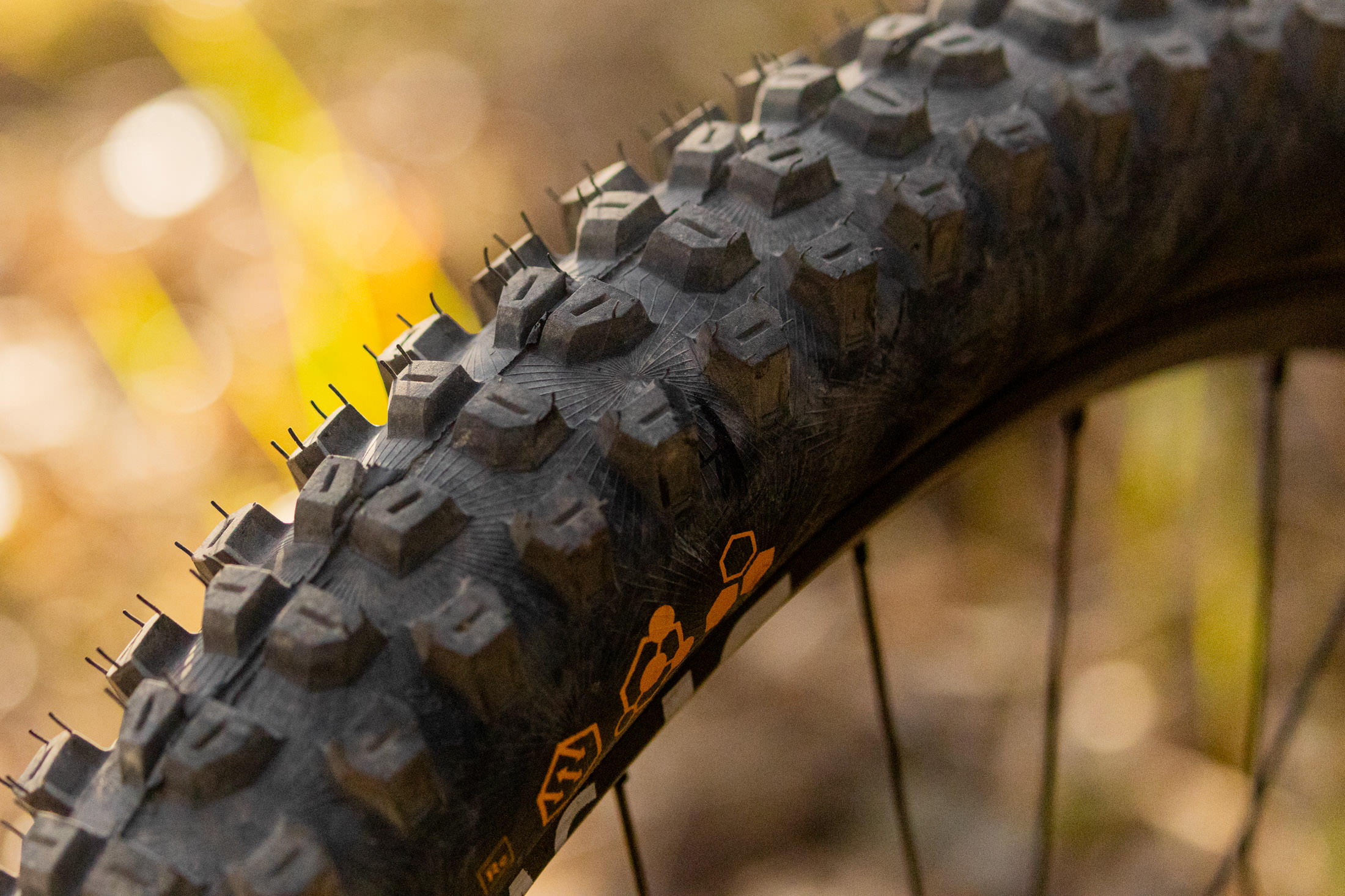 Review | Continental Argotal & Kryptotal Enduro casing tyres - Flow ...