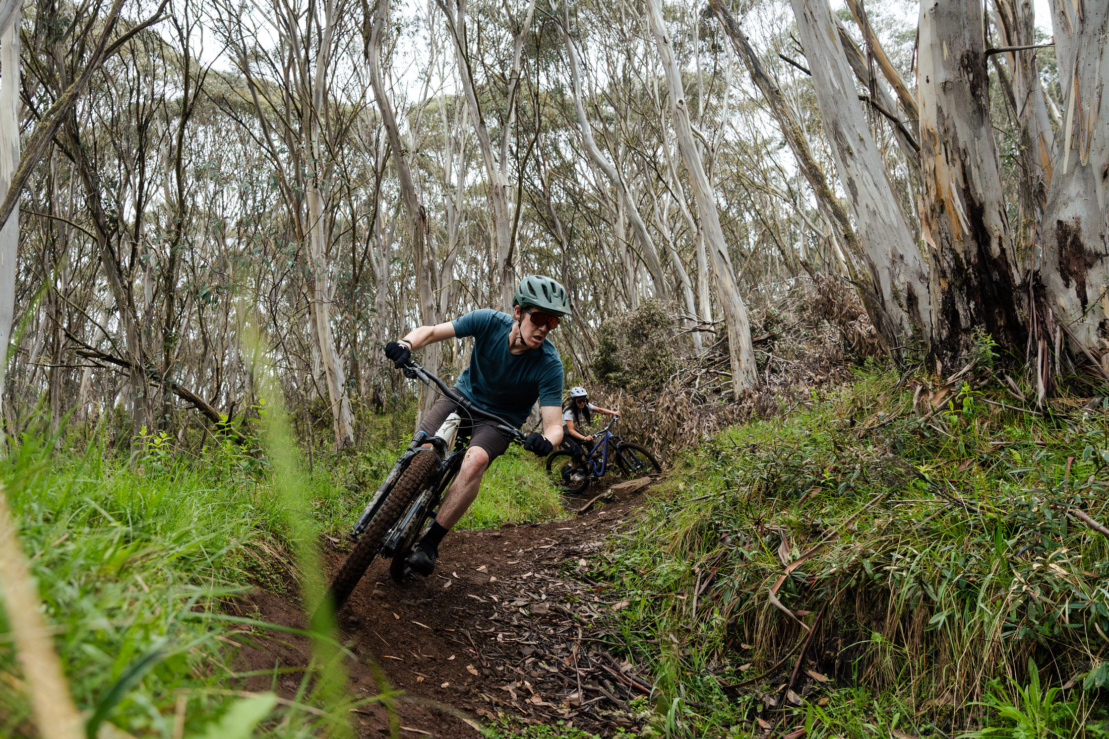 Your Complete Guide to Dinner Plain, VIC | Flow MTB