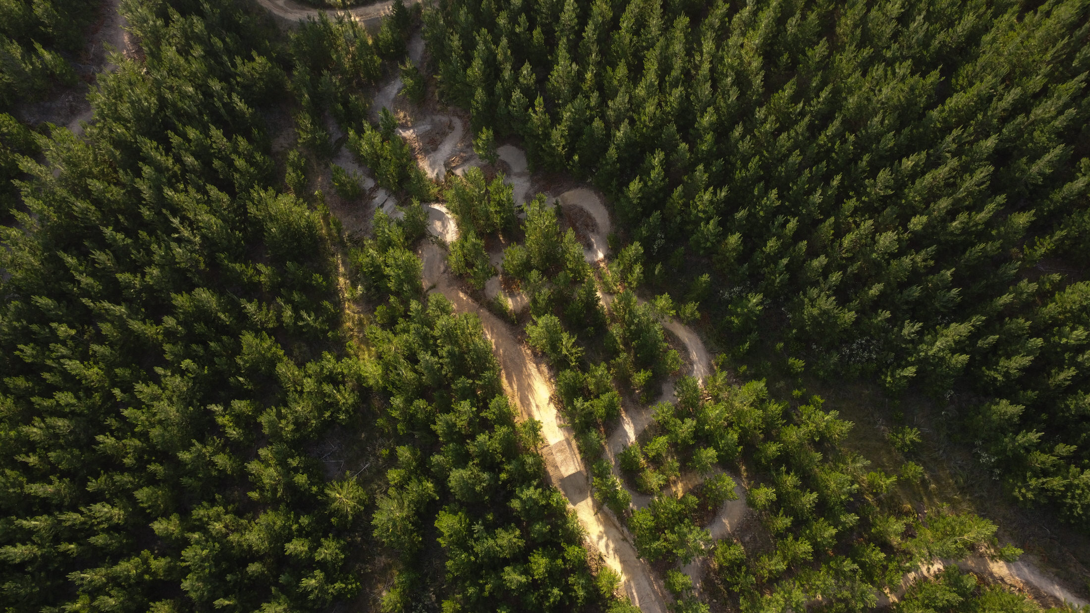 Bringing Gravity To The Goldfields | Fantastic new trails in Creswick ...