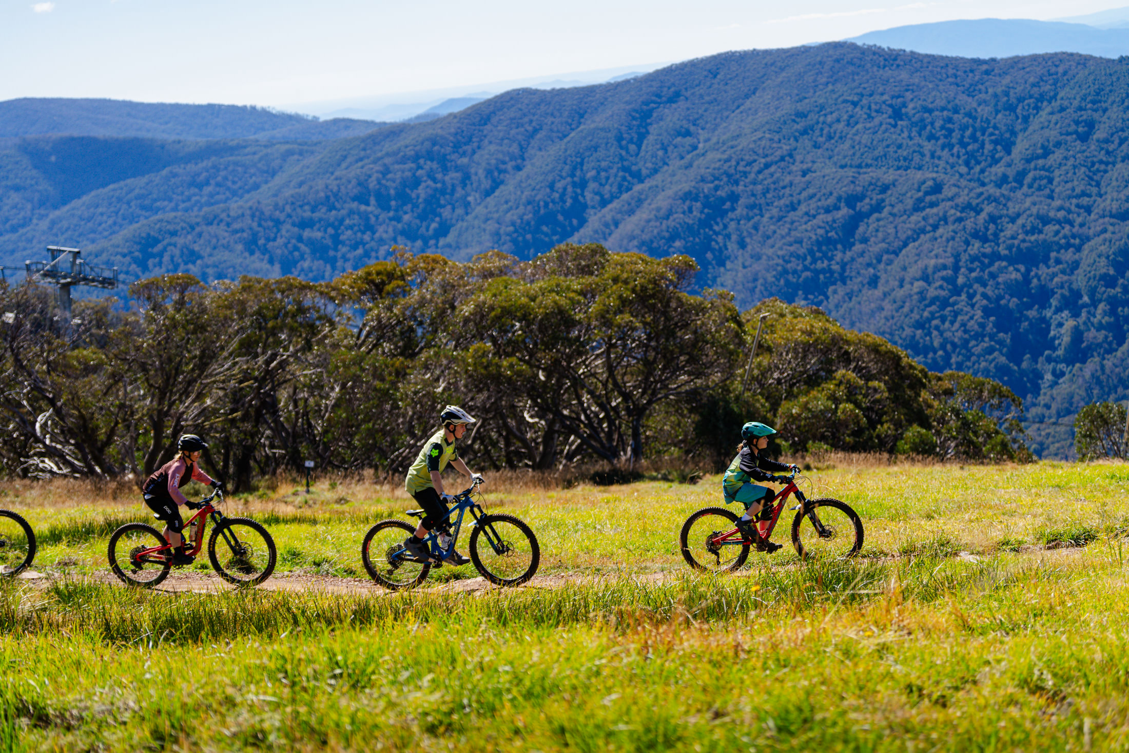 Best Mountain Bike Trails in Victoria | Flow Mountain Bike