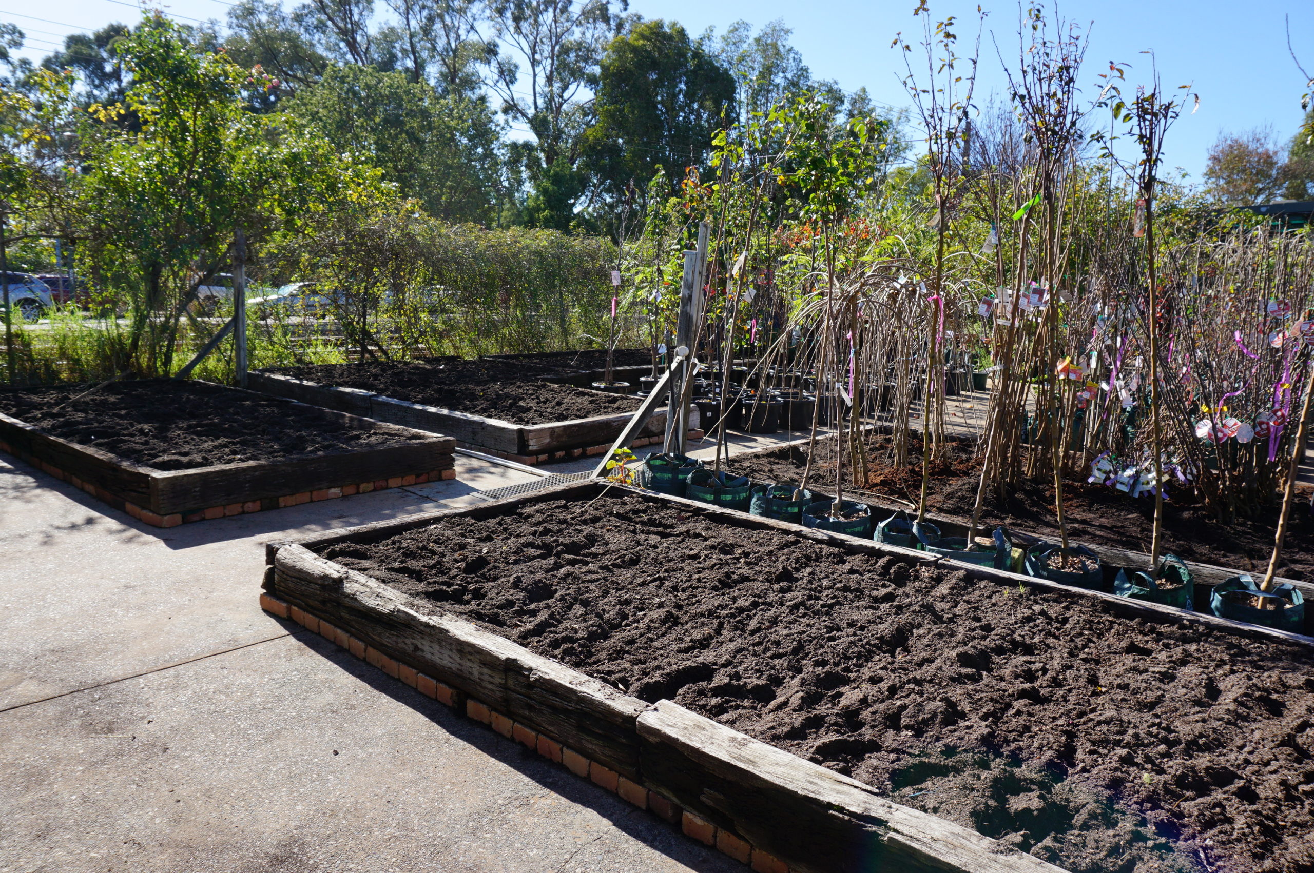 Turn Sand into Garden Soil - Guildford Garden Centre
