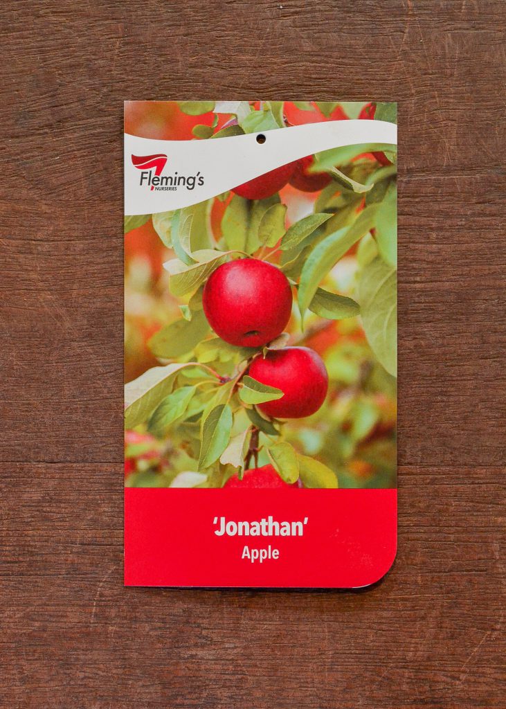 Apple - Jonathan - Guildford Garden Centre