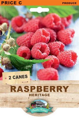 Raspberry - Heritage - Cane - Guildford Garden Centre