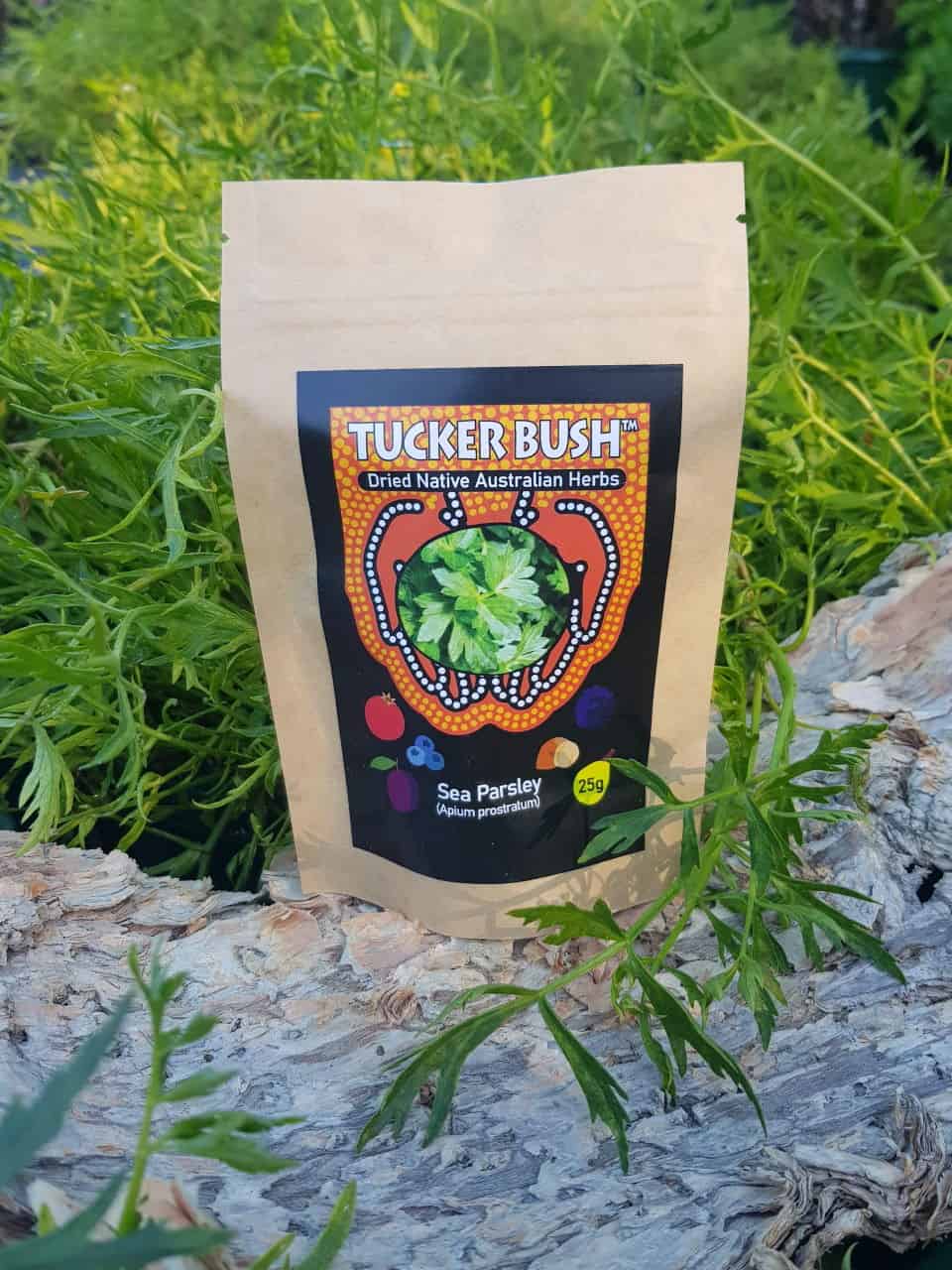 Dried Native Australian Herb - Sea Parsley (Apium prostratum var ...