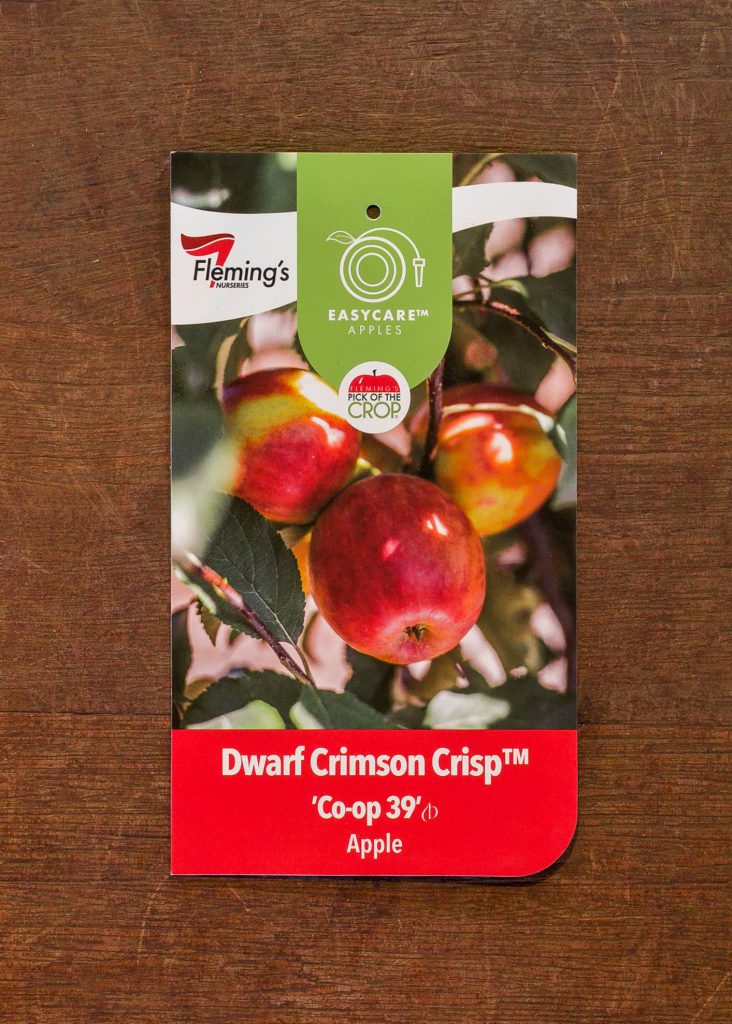 Apple - Crimson Crisp™ Dwarf - Guildford Garden Centre