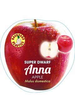 Apple - Anna Super Dwarf - Guildford Garden Centre