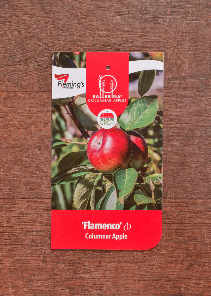 Apple Ballerina® - Flamenco - Guildford Garden Centre