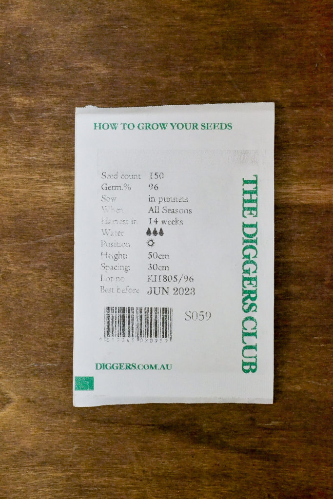 Cabbage - Red Drumhead - Diggers Seeds - Guildford Garden Centre