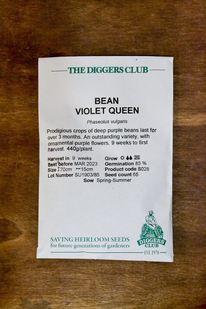 Bean - Violet Queen - Diggers Seeds - Guildford Garden Centre
