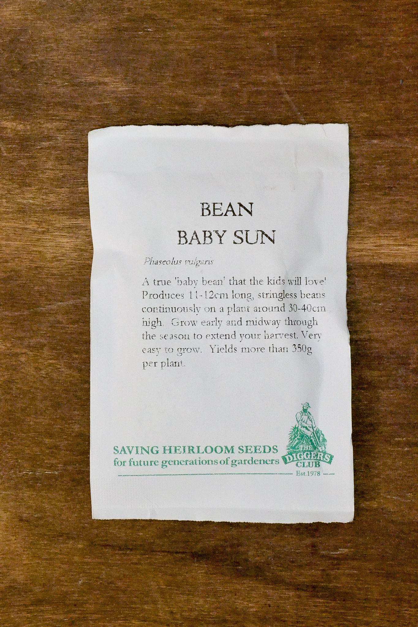 Bean - Baby Sun - Diggers Seeds - Guildford Garden Centre