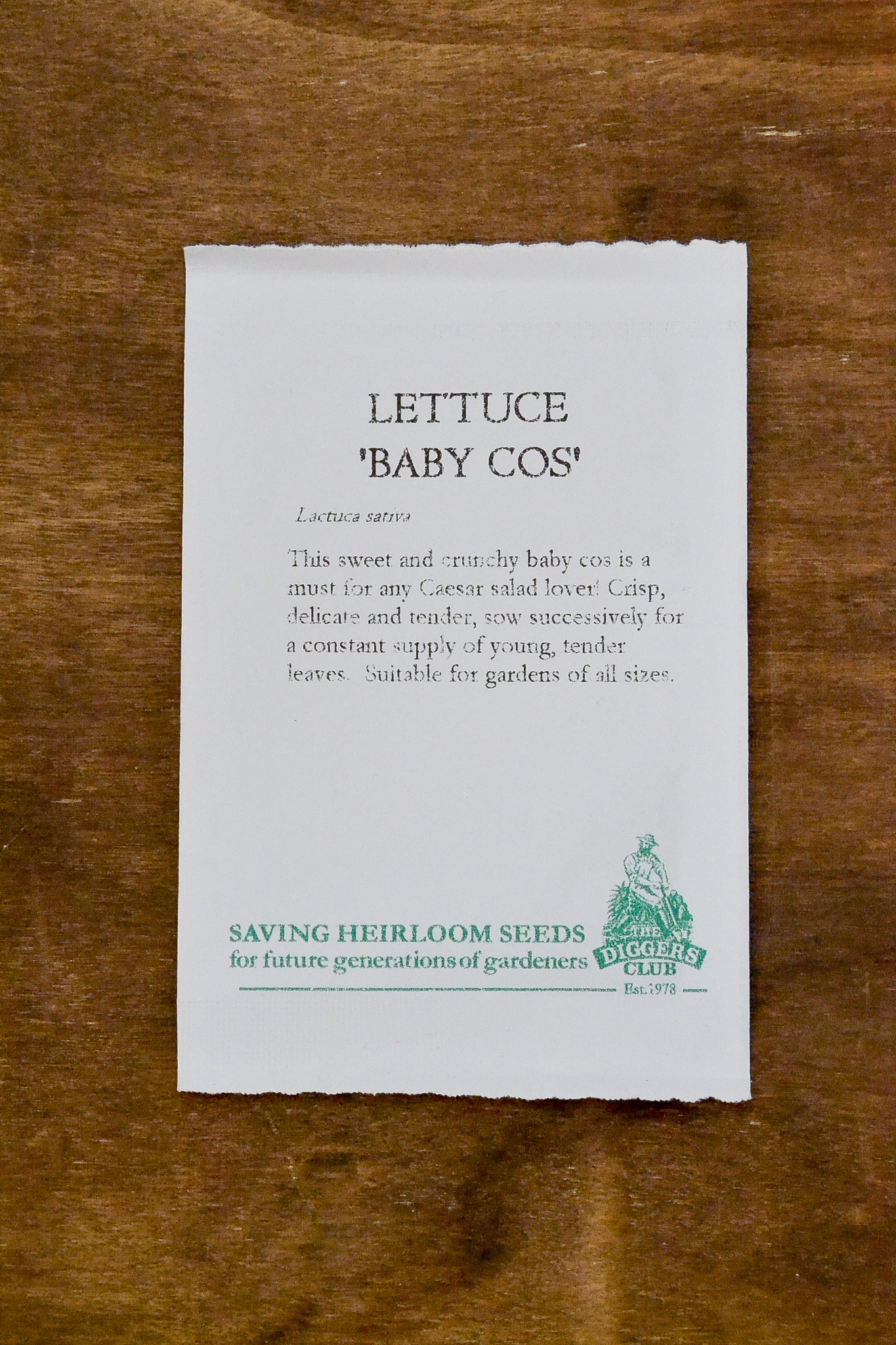 Lettuce - Baby Cos - Diggers Seeds - Guildford Garden Centre