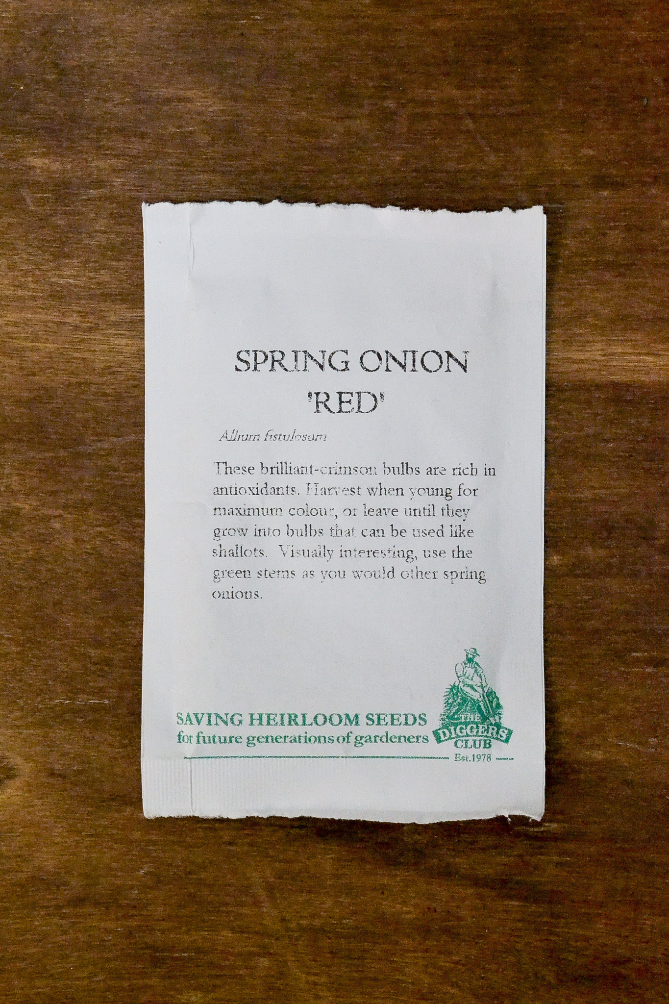 Spring Onion - Red - Diggers Seeds - Guildford Garden Centre