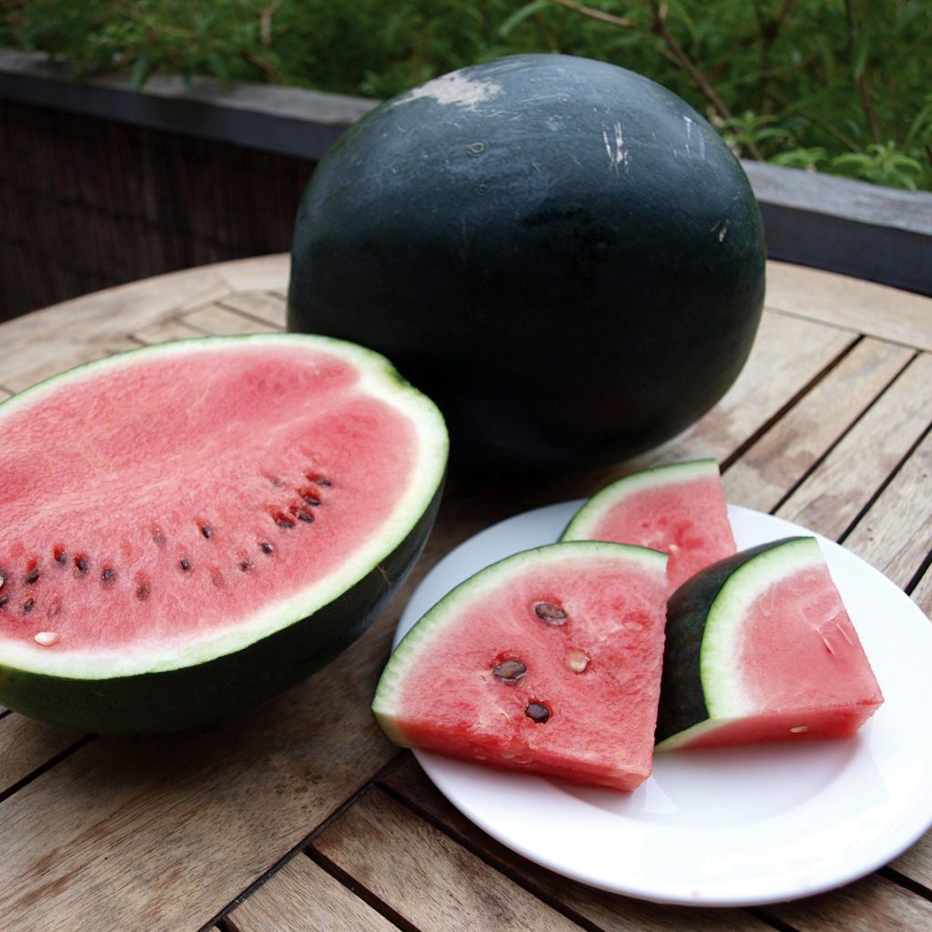 Watermelon - Sugar Baby - Diggers Seeds - Guildford Garden Centre