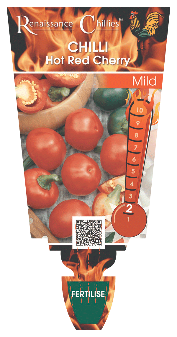 Chilli - Hot Red Cherry - Renaissance Herbs - Perth, WA - Garden Centre