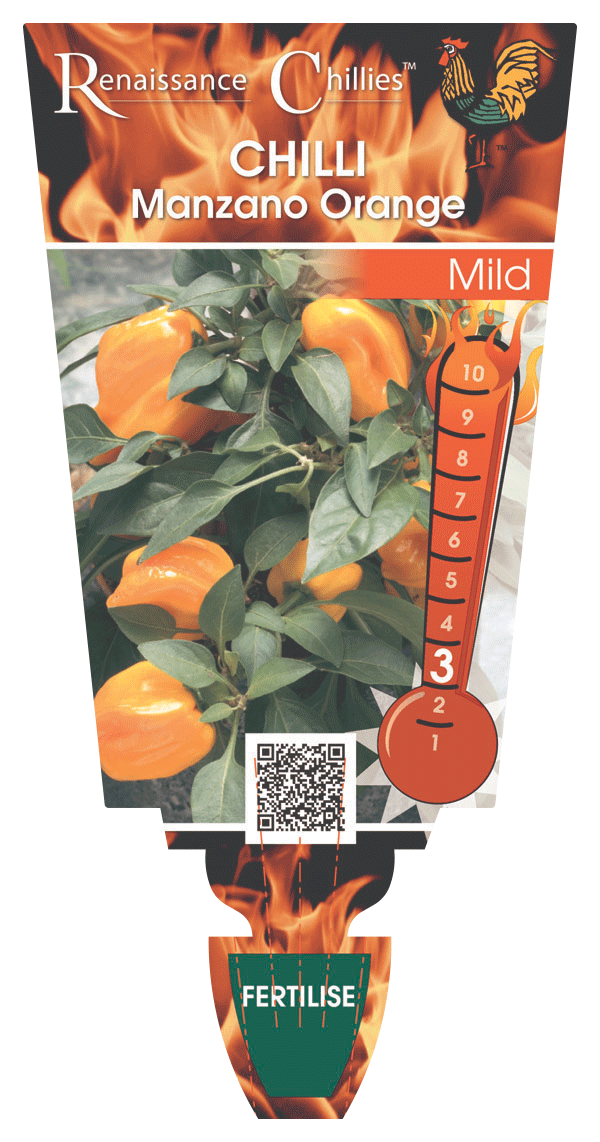 Chilli - Manzano Orange - Renaissance Herbs - Perth, WA - Garden Centre