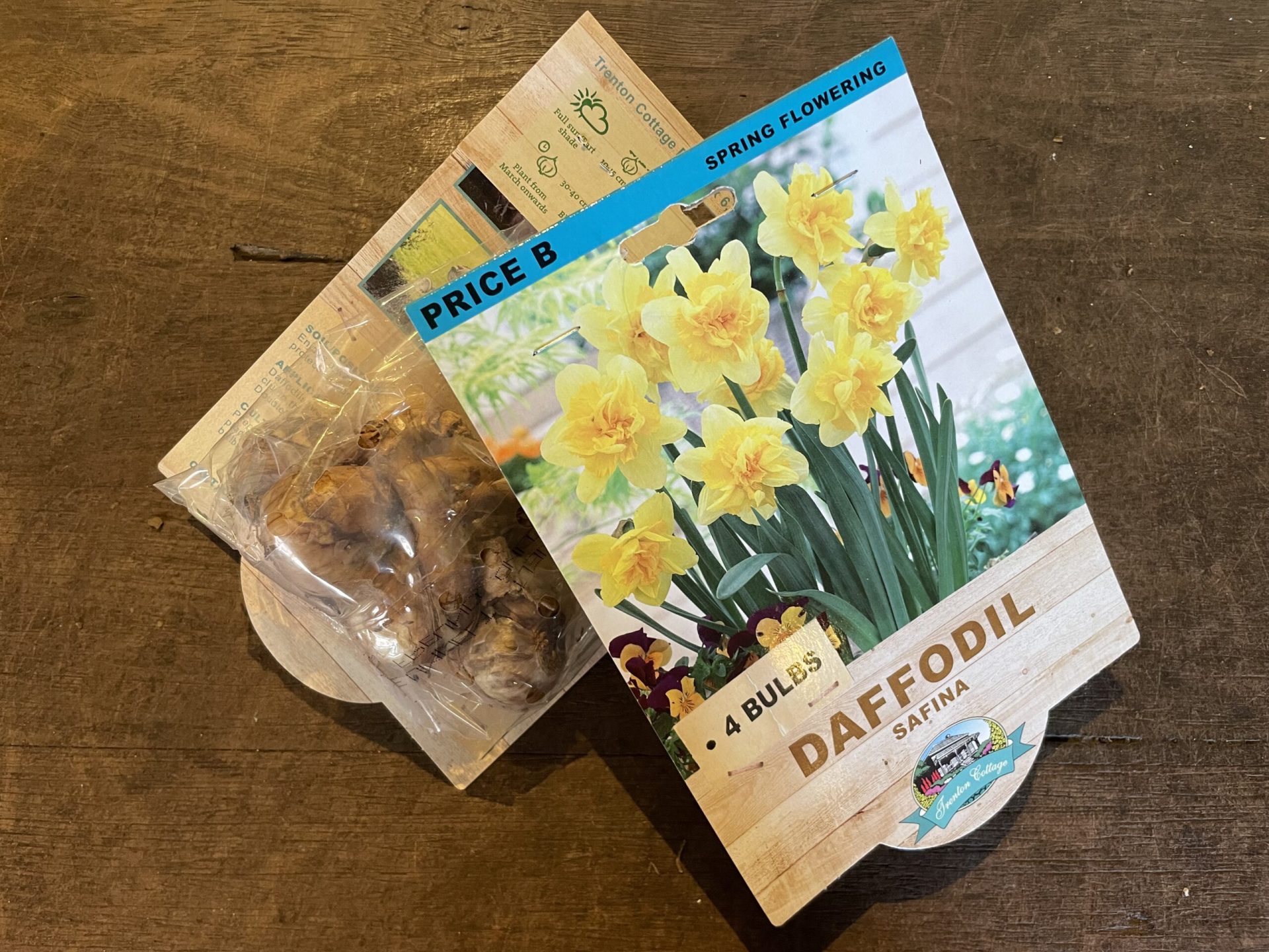 Daffodil - Safina - Bulbs - Guildford Garden Centre