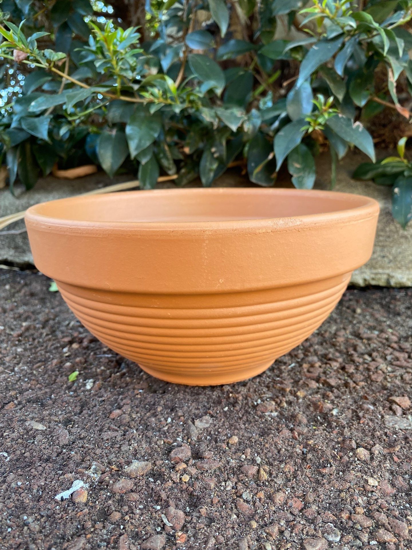 Pot - Gigante - Terracotta - Guildford Garden Centre