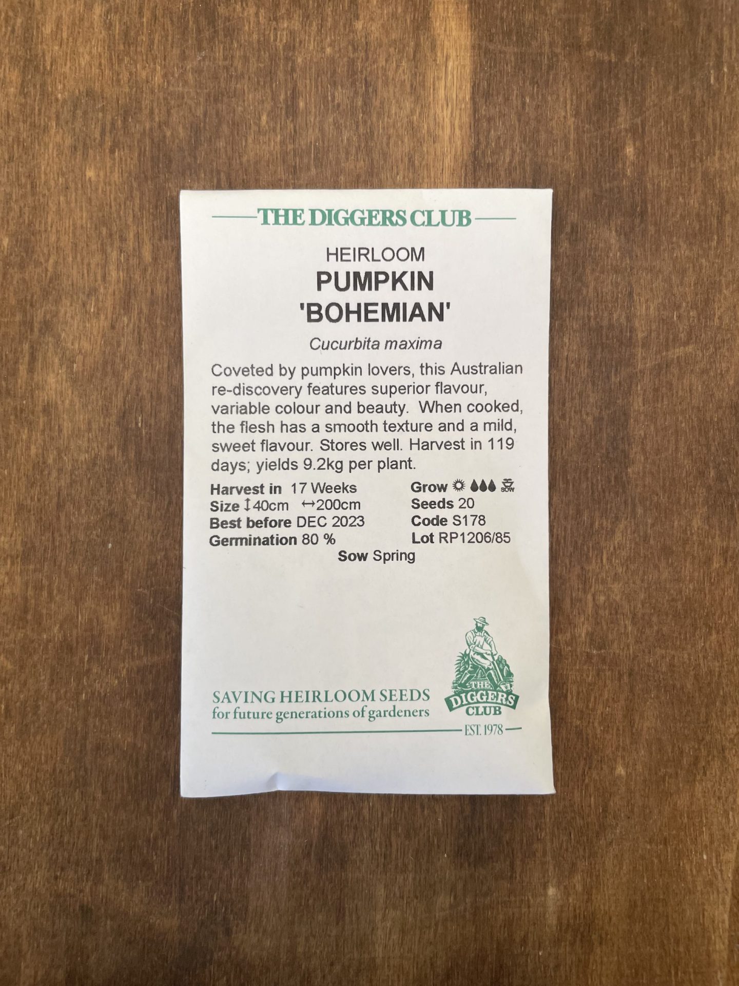 Pumpkin - Heirloom Bohemian - Diggers Seeds - Guildford Garden Centre