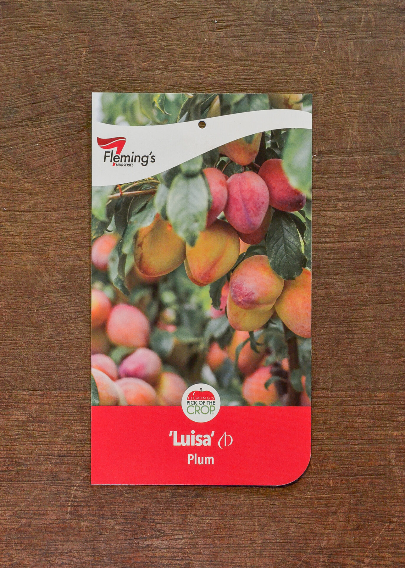 Plum - Luisa - Guildford Garden Centre