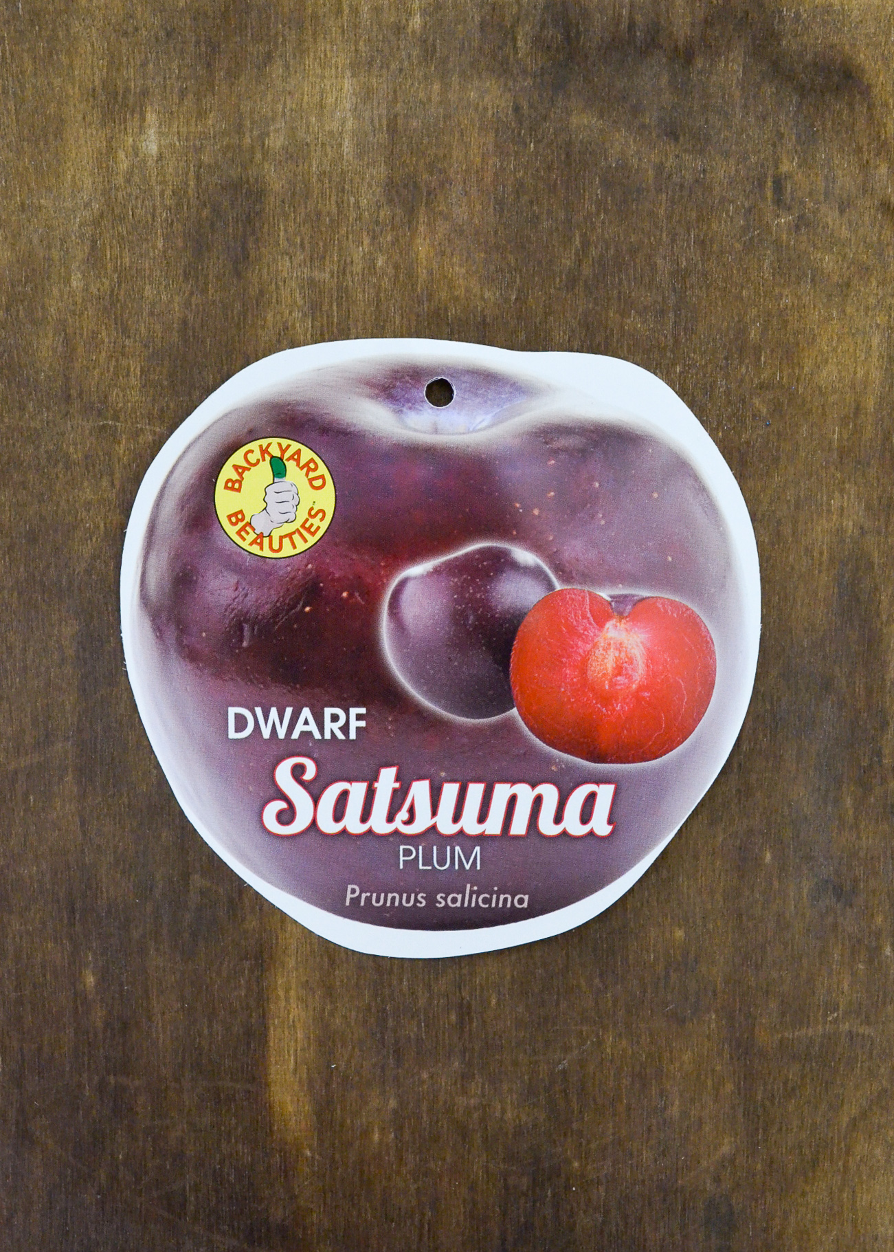 Plum - Satsuma Dwarf - Guildford Garden Centre